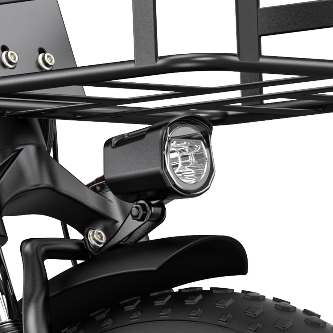 Engwe L20 SE 250W 20" Foldable Electric Bike City E-bike 36V 15.6Ah ...